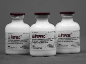 Home » Centro de Ingeniería Genética y Biotecnología