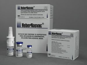 Home » Centro de Ingeniería Genética y Biotecnología