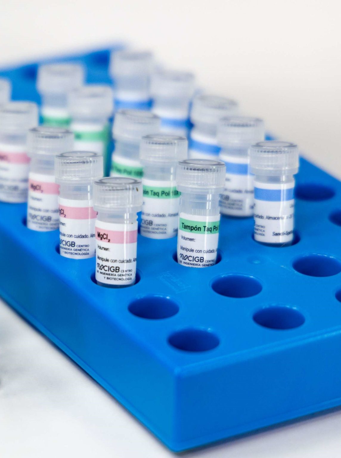 Enzimes archivos » Centro de Ingeniería Genética y Biotecnología